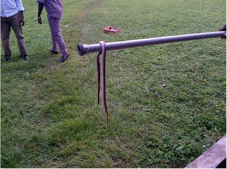 Jesus! See the Long Snake Found in a Nigerian Student's Locker (Photos)