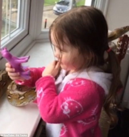 Omg! Chilling Moment 3-year-old Girl Hugs Her Massive 8ft Pet Python ...