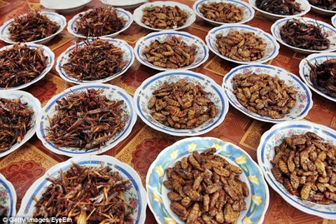 4 Times More Nutritious Than Cow's Milk: Scientists Says the Next Big ...