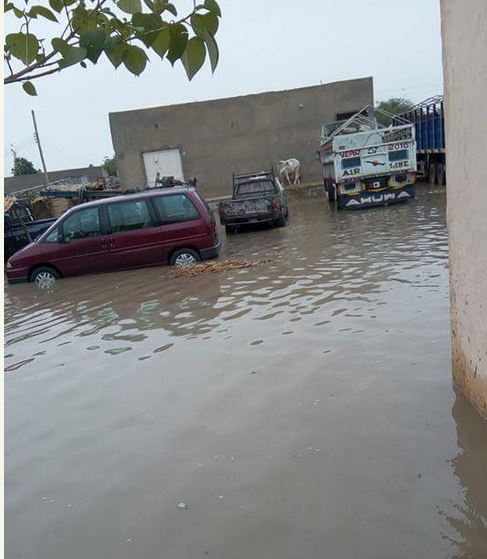 Massive Flood Ravages Jigawa State as Downpour Intensifies...See ...