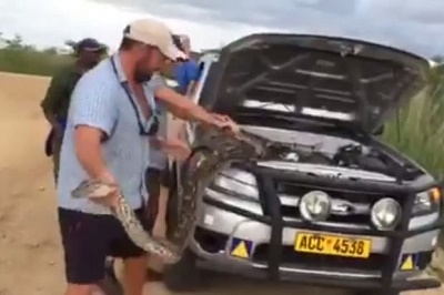 Shocked Dad Discovers Monster 10ft Snake in Family Car (Photo+Video)