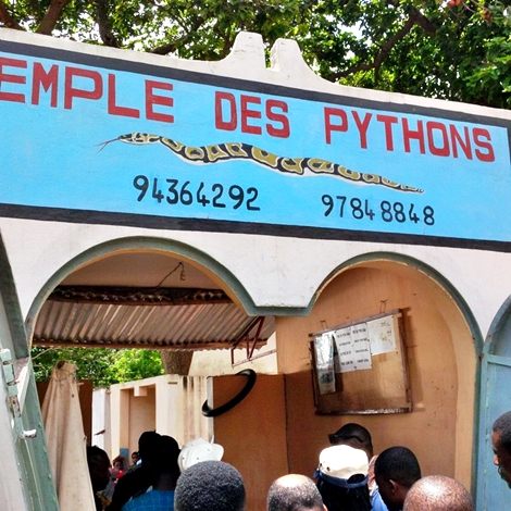 A Visit to the Python Temple in Benin Republic - Nigerian Students ...