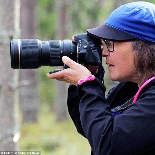 Omg! See What a Rare Albino Reindeer Caught on Camera in Sweden Looks ...