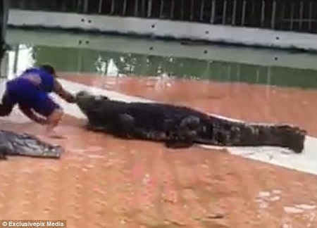 Crowds Watch in Horror as Crocodile Snaps His Keeper's Arm in Half ...