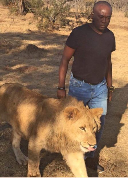 Nigerian Man Poses With Lion in South Africa (Photos)