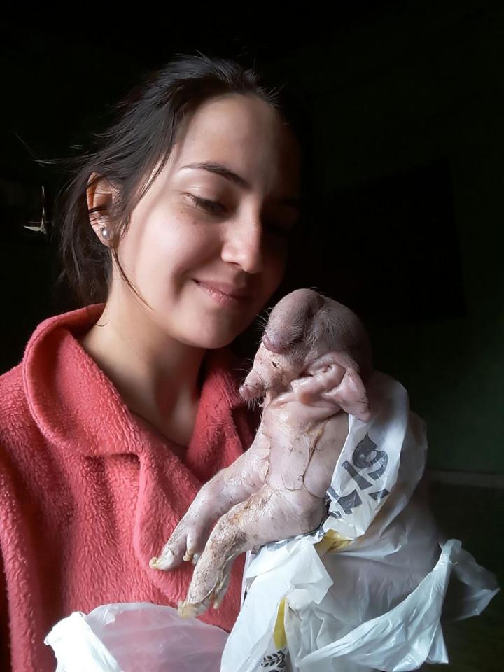 Baby Born With No Mouth