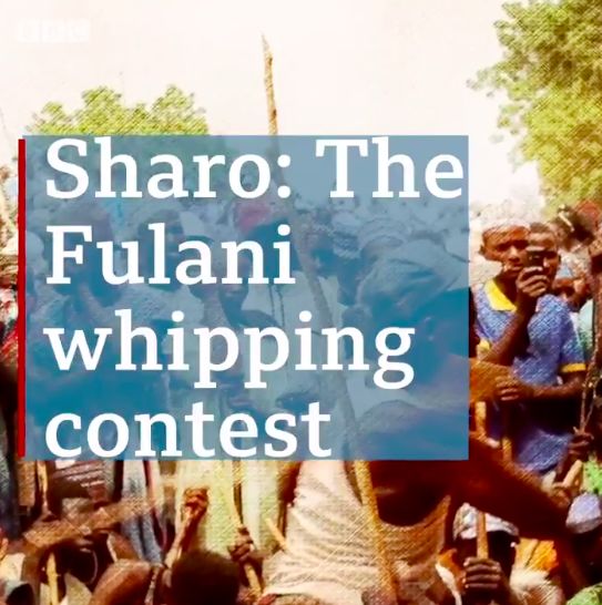 How I Got Three Wives After 'Sharo', The Fulani Whipping Contest