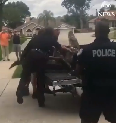 Shocking Moment Alligator knocked Out Police Officers After They ...