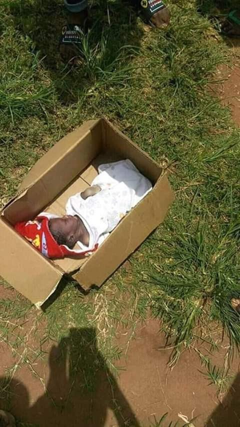 Dead Newborn Baby Found Dumped Near An Anglican Church In Anambra (Photos)