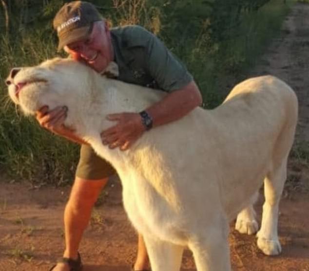 Tragedy As Man Is Killed By White Lions He Kept As Pet (Photos)