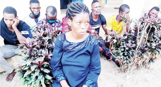 Housewife Who Poisoned Her Stepson Makes Startling Confession In Osun