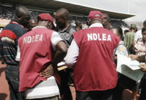 COVID-19: FG Suspends Screening Of 5,000 Candidates For NDLEA Job