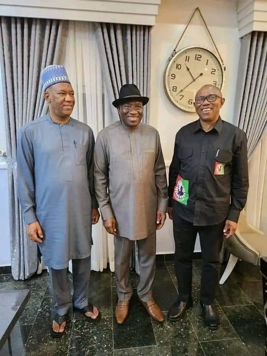 Former President Goodluck Jonathan Hosts Peter Obi And Datti In Abuja