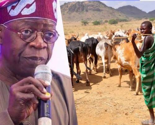 2023: Fulani Herders Prefer Ex-Lagos Governor, Tinubu As President ...