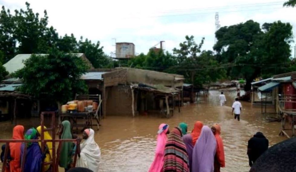 Flood: Jigawa Govt Seeks Help, Establishes 13 IDPs Camps