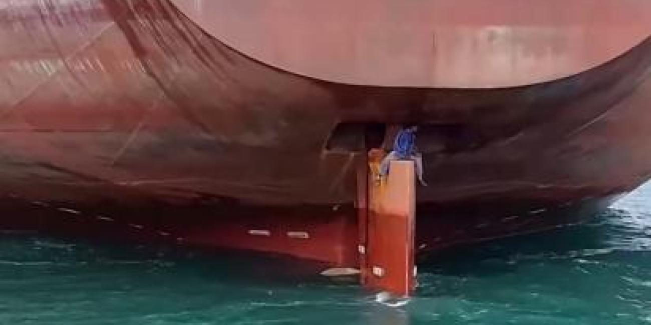 Five Nigerian Stowaways Trying To Flee Country Over Hardship Arrested ...