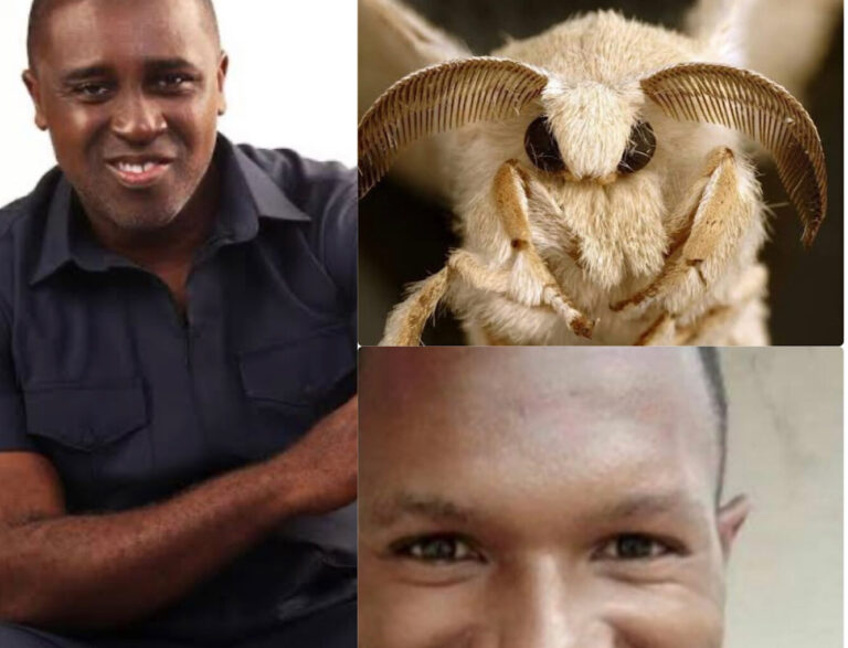He Looks Like An Arthropod - Frank Edoho Mocks Twitter Influencer ...