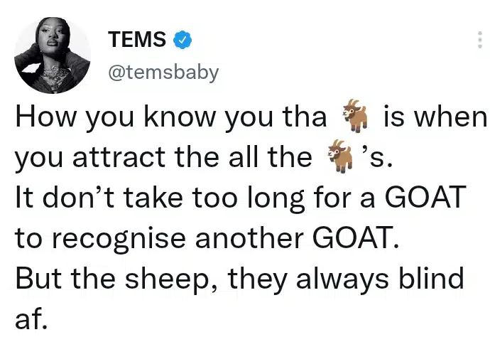It Takes A GOAT To Recognize A GOAT – Tems Says After Snoop Dogg ...
