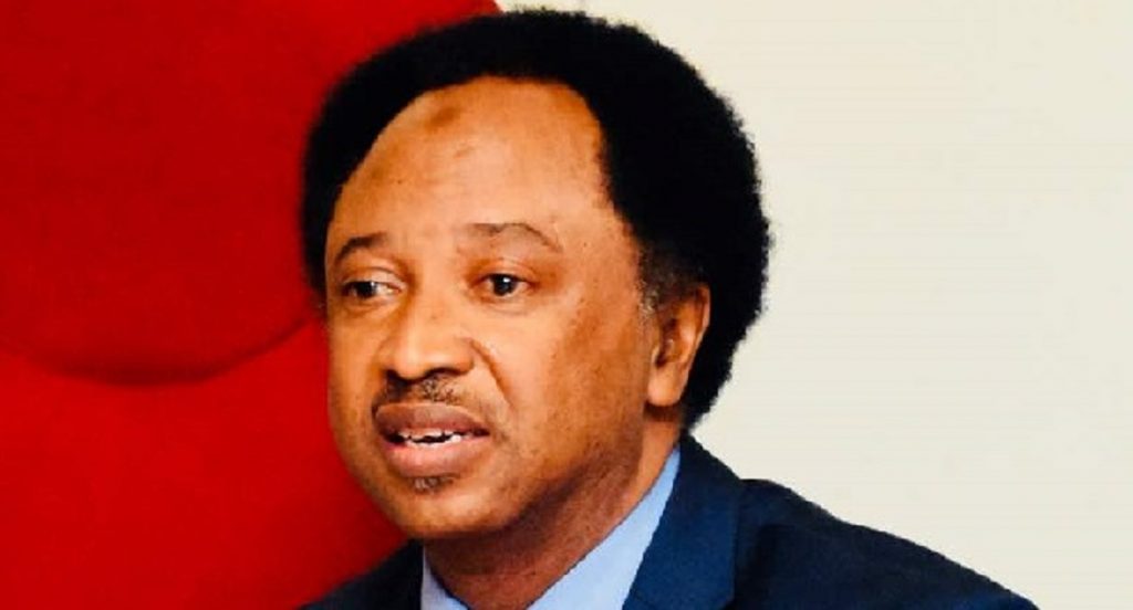Futile Noise of Conscienceless Merchants - Shehu Sani Blasts Tinubu ...
