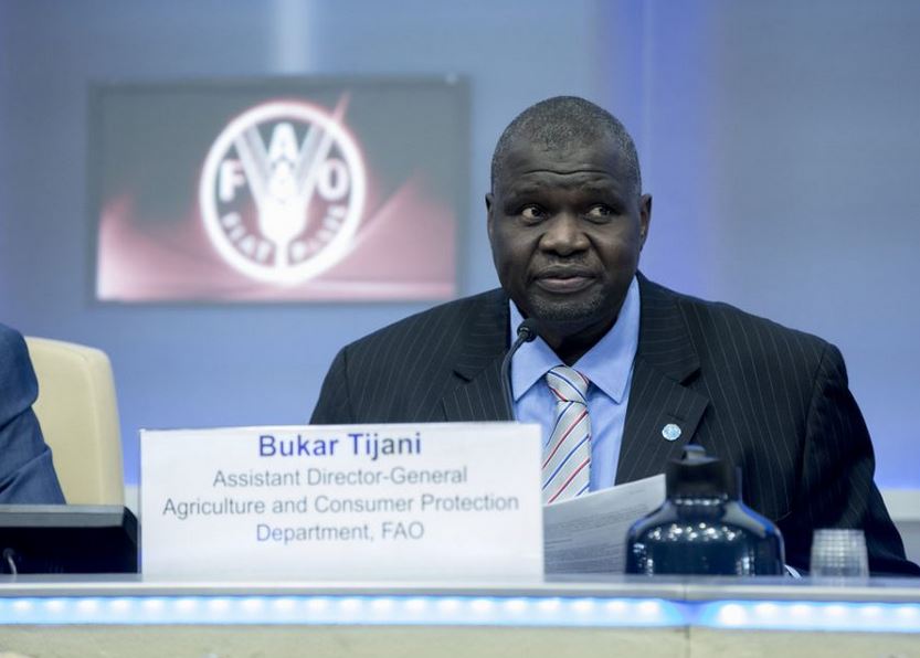 Borno Gov Appoints Former Minister As SSG