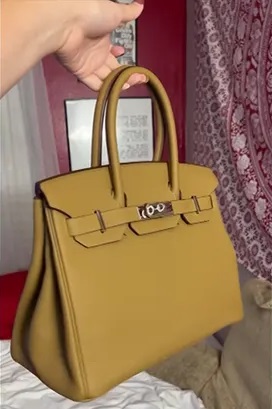 Drake Gifts Another Female Fan Designer Birkin Bag (Photo)