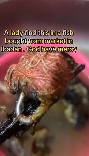 Nigerian Woman Shows Mysterious Stuff She Found Inside Fish She Bought ...