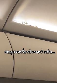 Shocking Moment Snake Crawled Out Of Plane Mid-flight (Video)