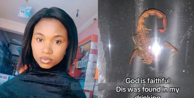 Lady Finds Live Scorpion In Drinking Cup Inside Her Bedroom