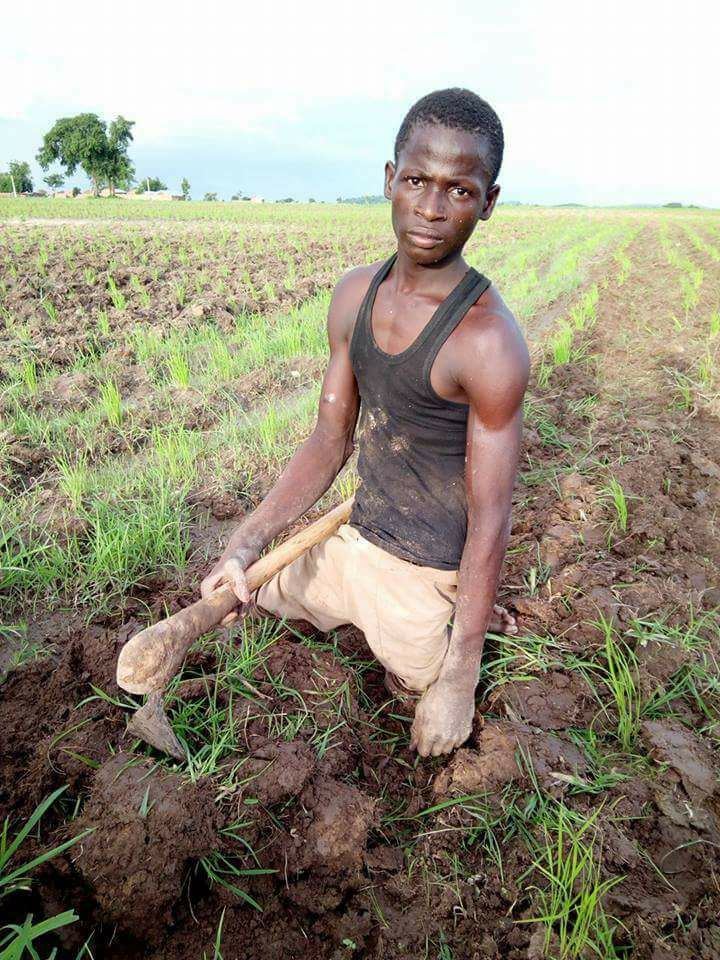 So Inspiring: Young Man Without Legs Spotted Working on His Rice Farm ...