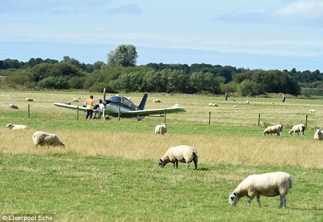 Horror: How a Private Plane Was Forced to Make an Emergency Landing In ...