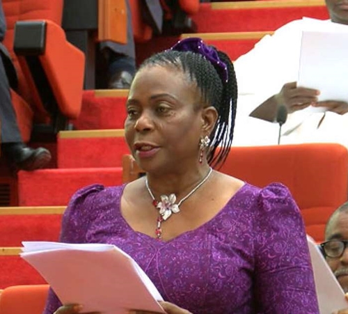 PDP Nominates Popular Female Senator As Akpabio's Replacement For ...