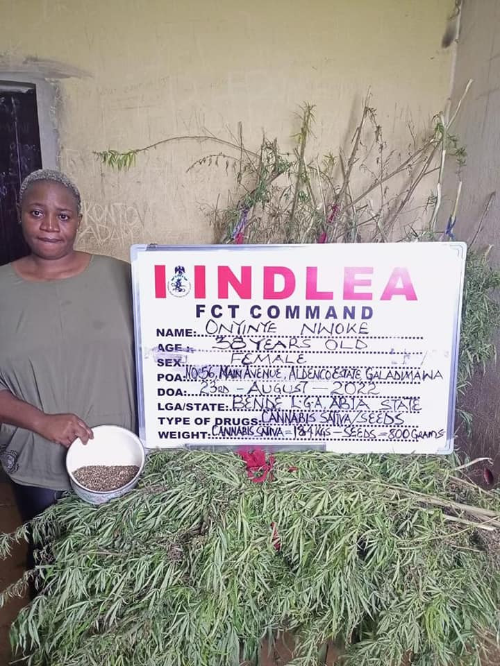 NDLEA Officers Raid Residence of Abuja Businesswoman Where She Grows ...