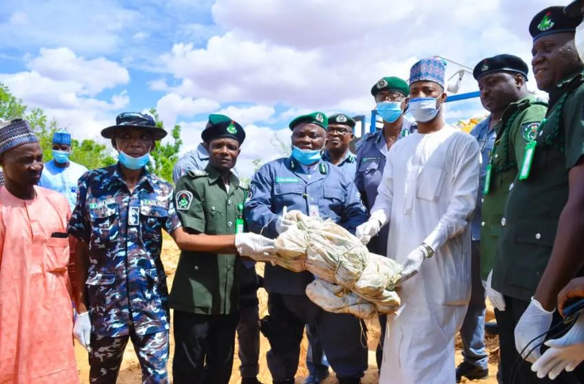 How Customs Seized 414 Sacks Of Donkey Meat, Handed Them Over To NAQS