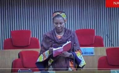 Senator Ireti Kingibe Walks Out Of Senate Chamber After Disagreement ...